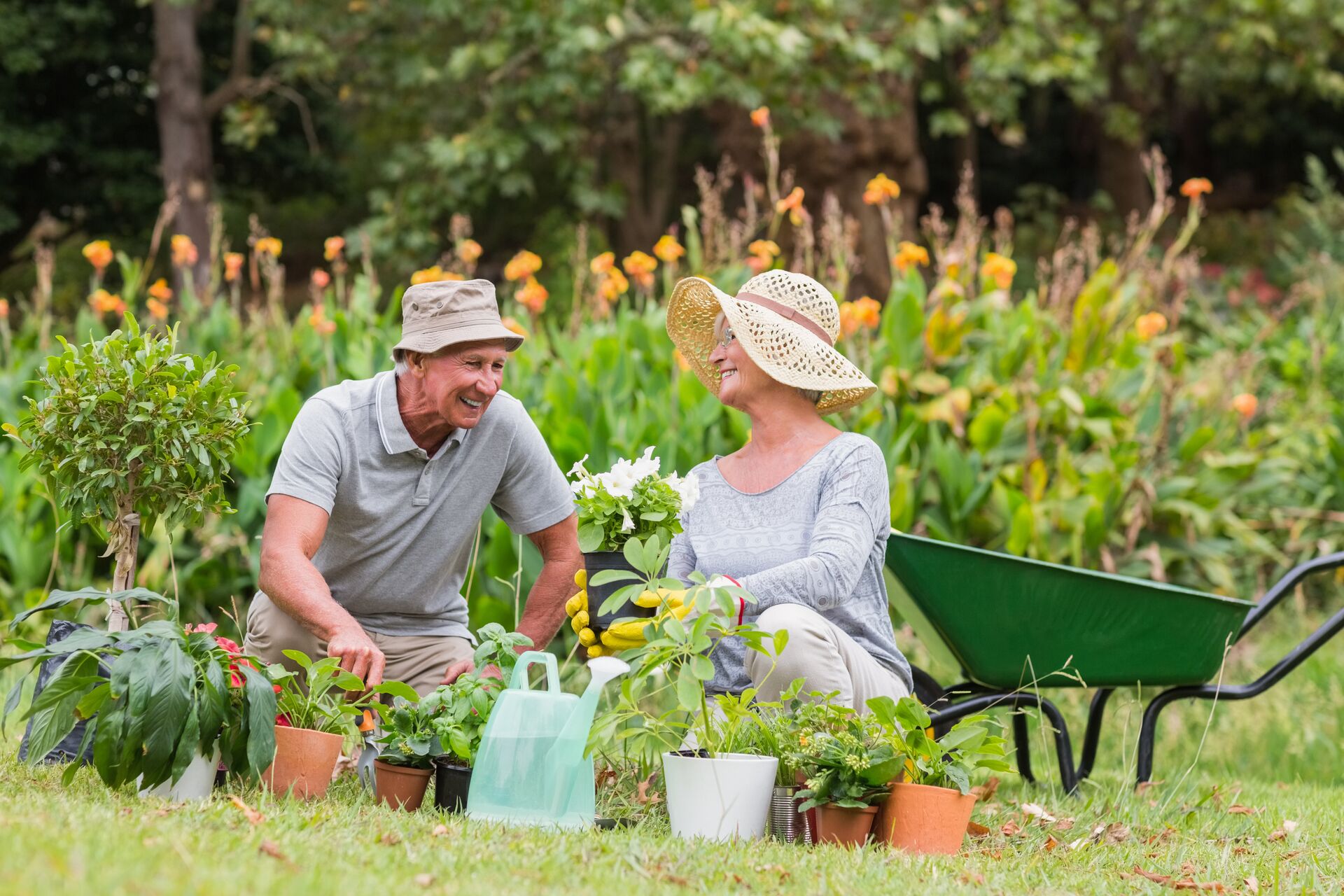 9 Surprising Benefits of a Community Garden for Seniors | Friendship ...